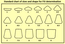 Coking Coal – IspatGuru