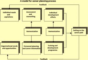 Career Planning Management of the Employees – IspatGuru