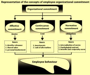 Employee Organizational Commitment – IspatGuru