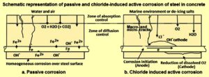 Schematic representation of peassive and chloride induced nactive ...