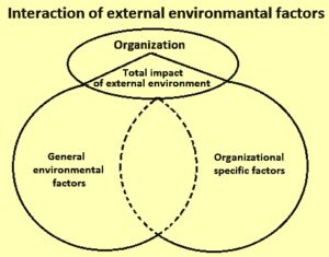 Organizational Environment and its Impact on the Performance – IspatGuru
