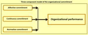 Employee Commitment and Organizational Performance – IspatGuru