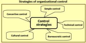Role of Control in the Functioning of Organization – IspatGuru