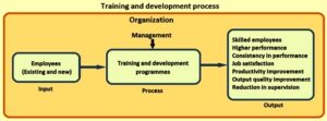 Role of Training and Development in Employee and Organizational ...