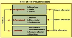 Senior level Managers and their Role in the Organization – IspatGuru