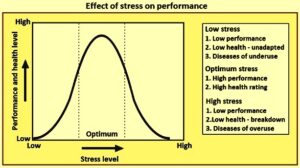 Organizational Role Stress and its Impact on Performance – IspatGuru