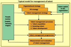 Talent Management – IspatGuru