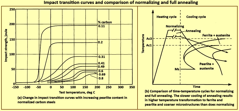 Impact transition curves and comparison of normalizing and full ...