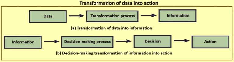 Management Information System and Other Information Systems – IspatGuru